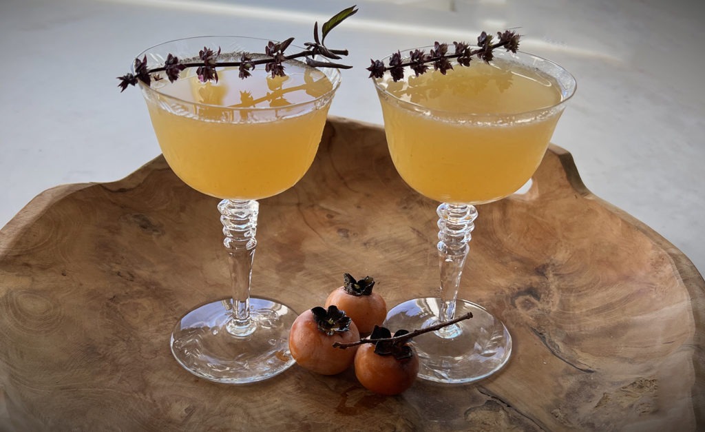 Spent Blooms & Wild Persimmons – My Herbal Roots